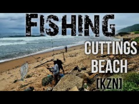 Fishing Cuttings Beach And Canal - 4k - 26/02/23 - YouTube