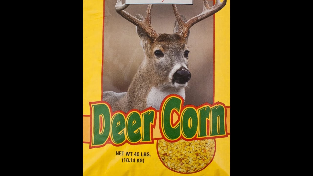 Hot Topics & Hunt Headlines - YouTube