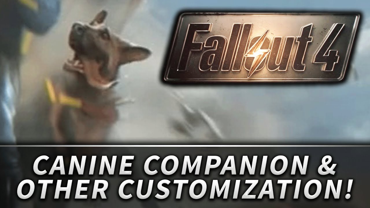 Fallout 4 : Canine Companion & Other Customization!? - YouTube