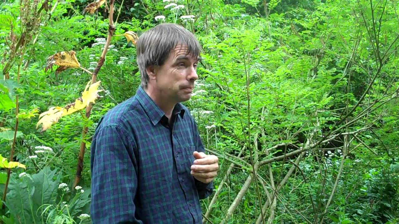 Visit Martin Crawford Forest Garden | Fasci Garden