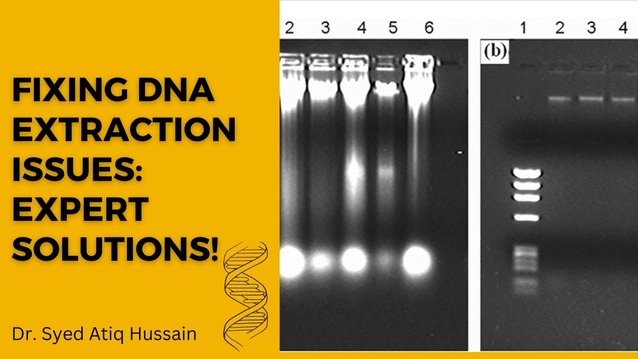 Fixing DNA Extraction Issues: Expert Solutions! - YouTube