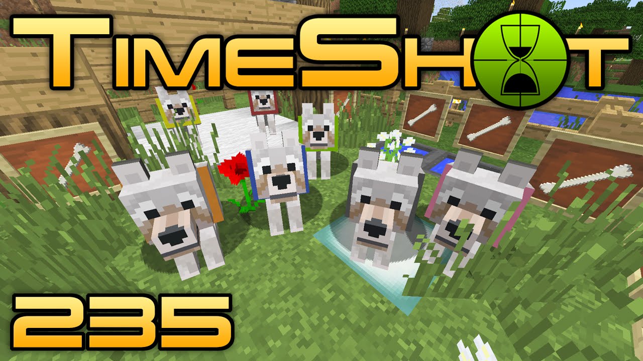TimeShot SMP 235 - Seri's Kennel - YouTube