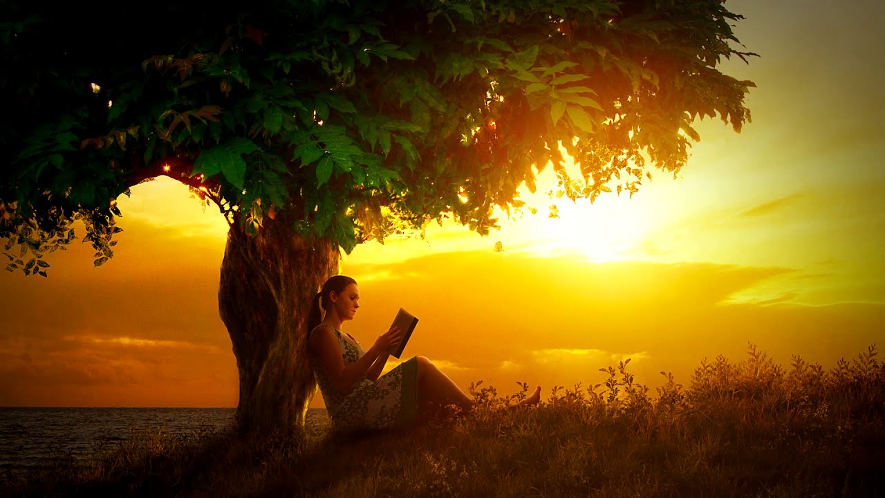 How to Create Compelling Video Storytelling for Non-Profits - YouTube