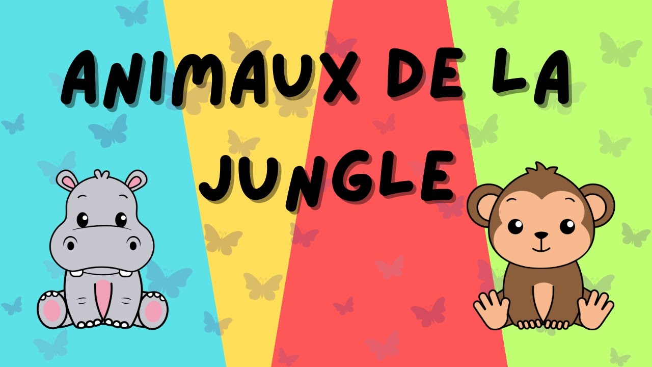 Apprendre les animaux de la jungle - Comptine - YouTube
