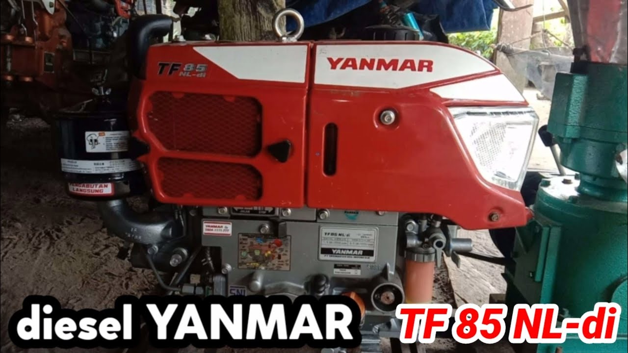 mesin diesel yanmar TF 85 NL-di - YouTube