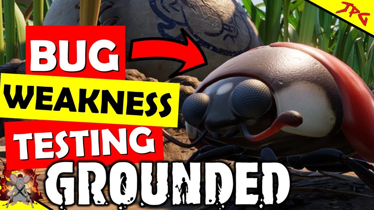 GROUNDED - BUG TESTING! New Weapons And All The Sandbox Loot! - YouTube
