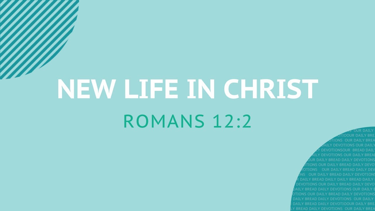New Life in Christ - Daily Devotion - YouTube