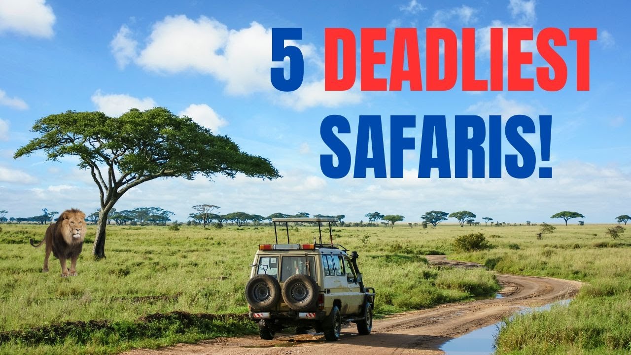 WARNING! The 5 Most TERRIFYING Safari WILD Animals Encounters EVER ...