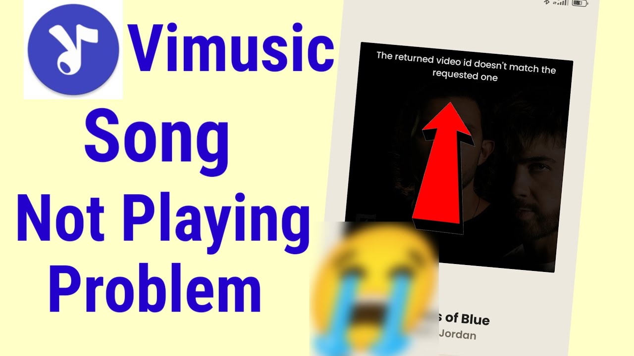 vi music app the returned video id doesn't match the requested one ...