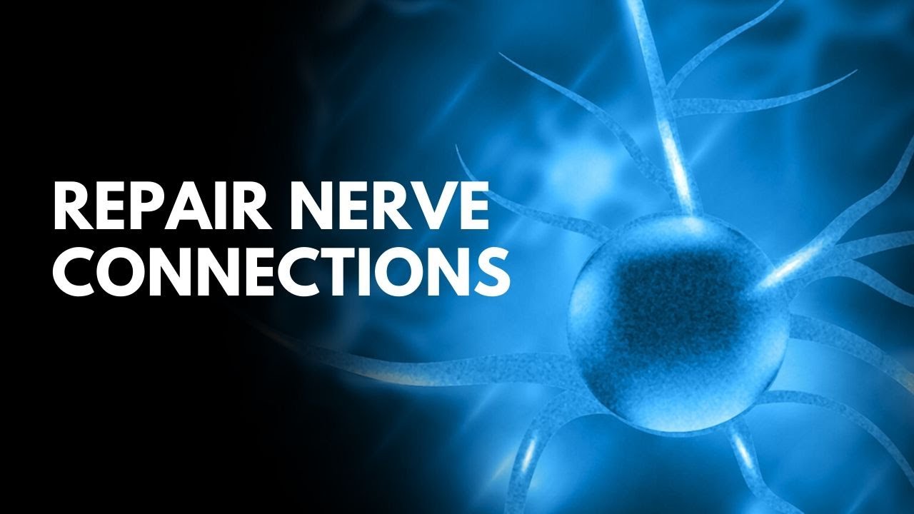 Nerve Regeneration Repair Nerve Connections | Binaural Beats Nerve and ...