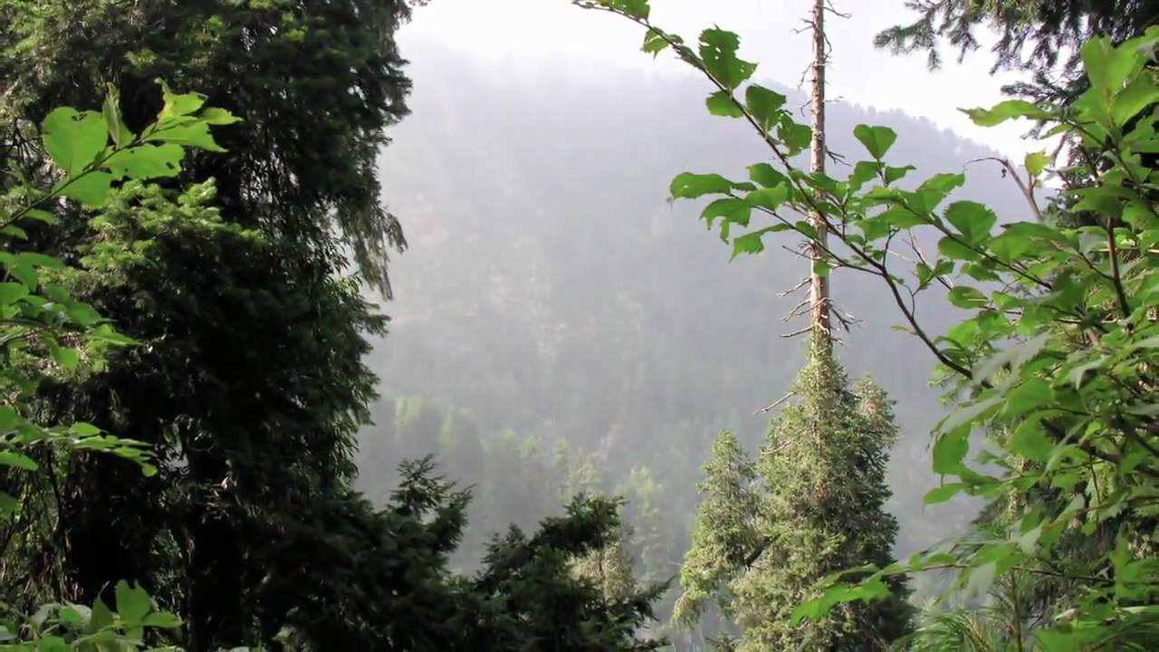 Ayubia - Dunga Gali.mp4 - YouTube