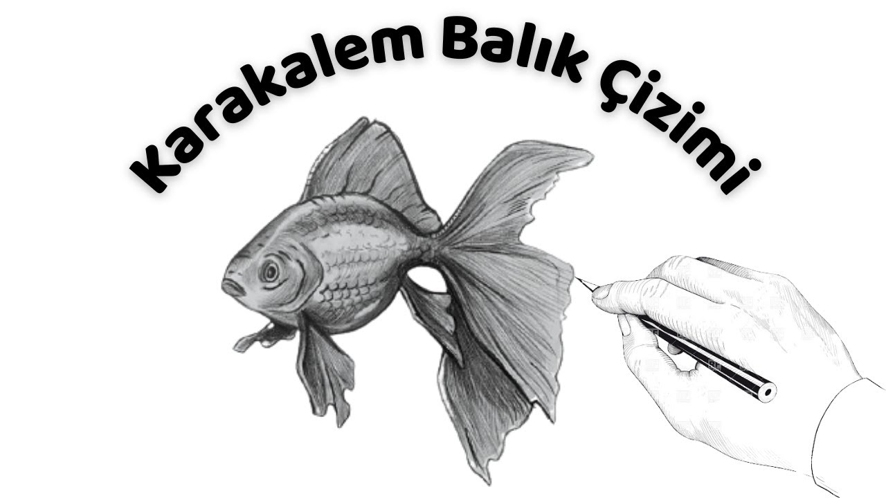 Karakalem Balık Çizimi - Karakalem Balık Nasıl Çizilir - YouTube
