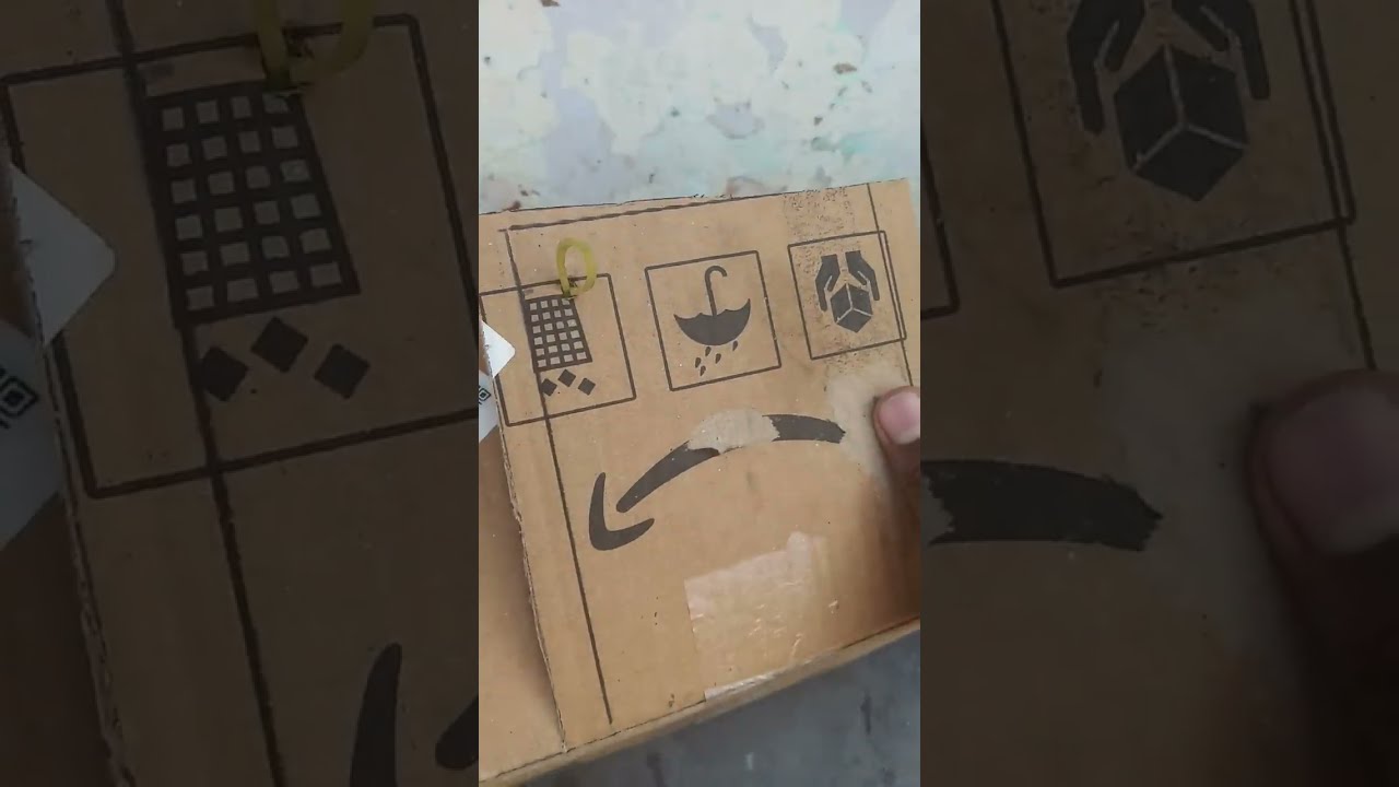 How To Make Bird Trap At Home shorts YouTube How To Make Bird Trap At Home shorts YouTube