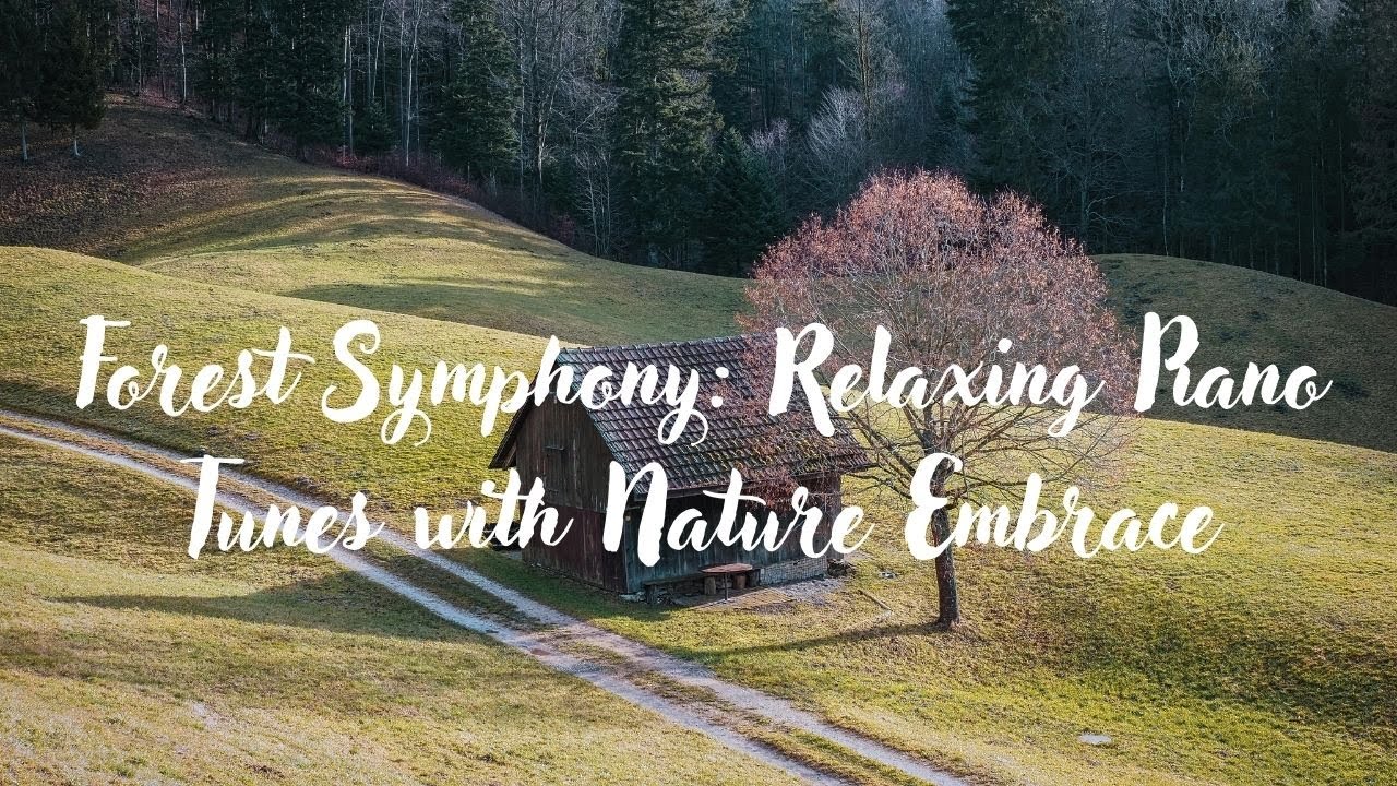 Forest Symphony | Relaxing Piano Music | Study Reading | Sleep Music | Lo-fi Music |Stress ...