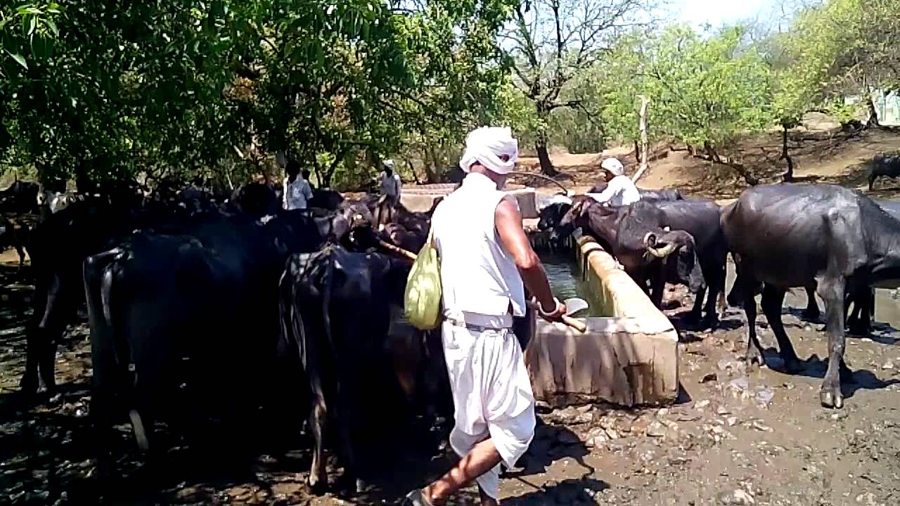 gir nes VID 20150517 111746 gir nes - YouTube