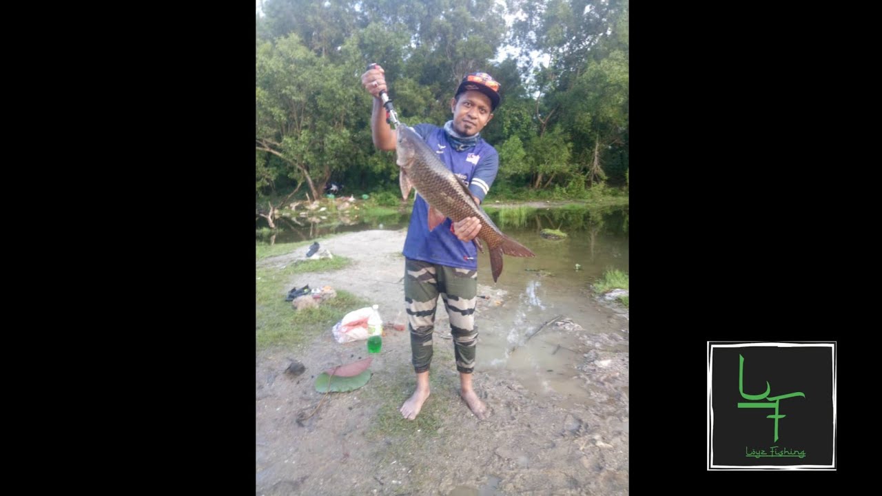 vlog1 santai2 jer...ikan ara | rohu |carb batu gajah...saiz 4kg ...