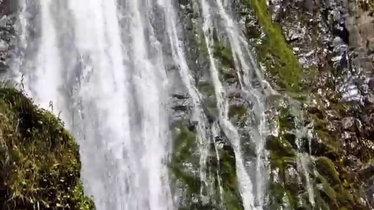 Susan Creek Falls Hike, Oregon - YouTube