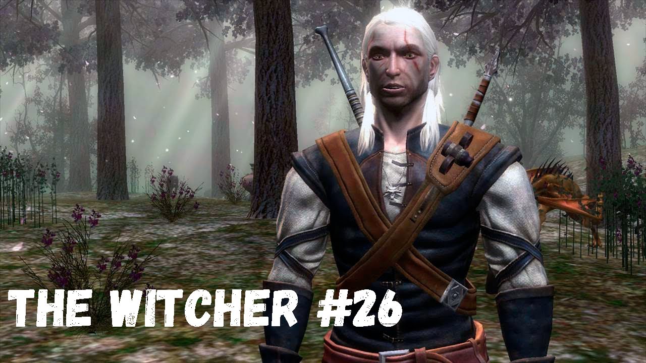 ГДЕ КВЕСТЫ?! (Прохождение The Witcher #26) - YouTube