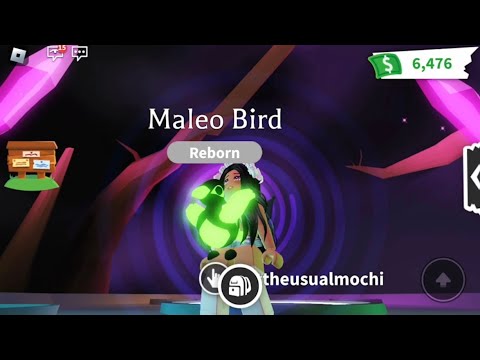 MAKING NEON MALEO BIRD!! | ADOPT ME #roblox #adoptmeroblox #adoptme # ...