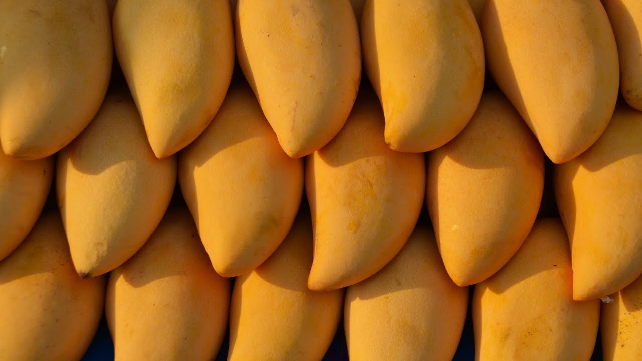 4k Best Mangoes Free Stock Footage - No Copyright Mango Videos in 4k ...