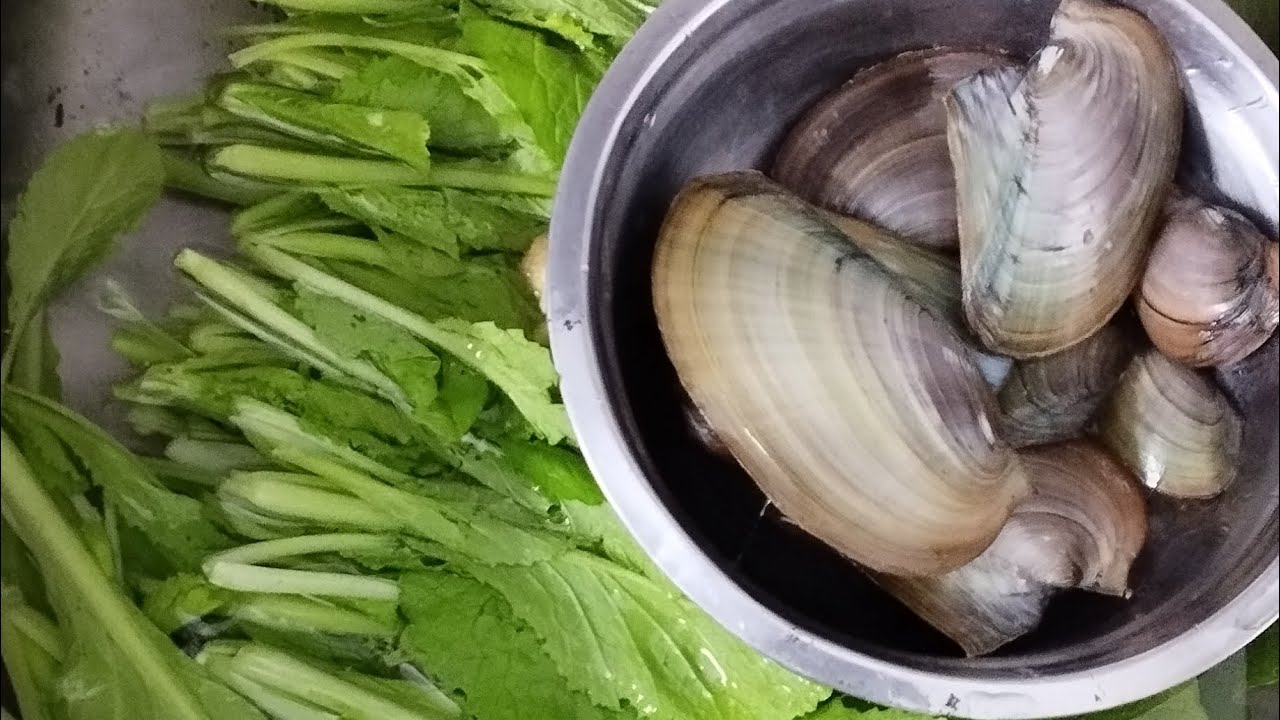 Canh rau cải nấu trai trai - YouTube
