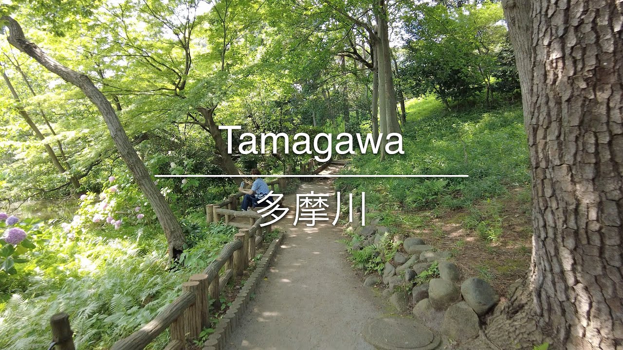 [4K] Tamagawa 多摩川 [Tokyo 東京] [Walk 散歩] #664 - YouTube