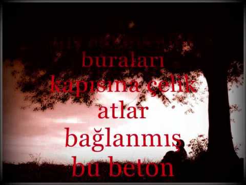 Ben Sadece Seni Sevdim