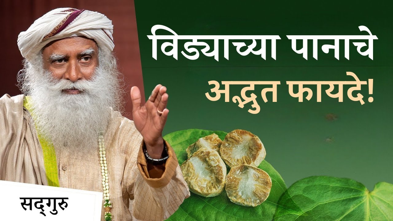Incredible Benefits Of Betel Leaf incredible-benefits-of-betel-leaf