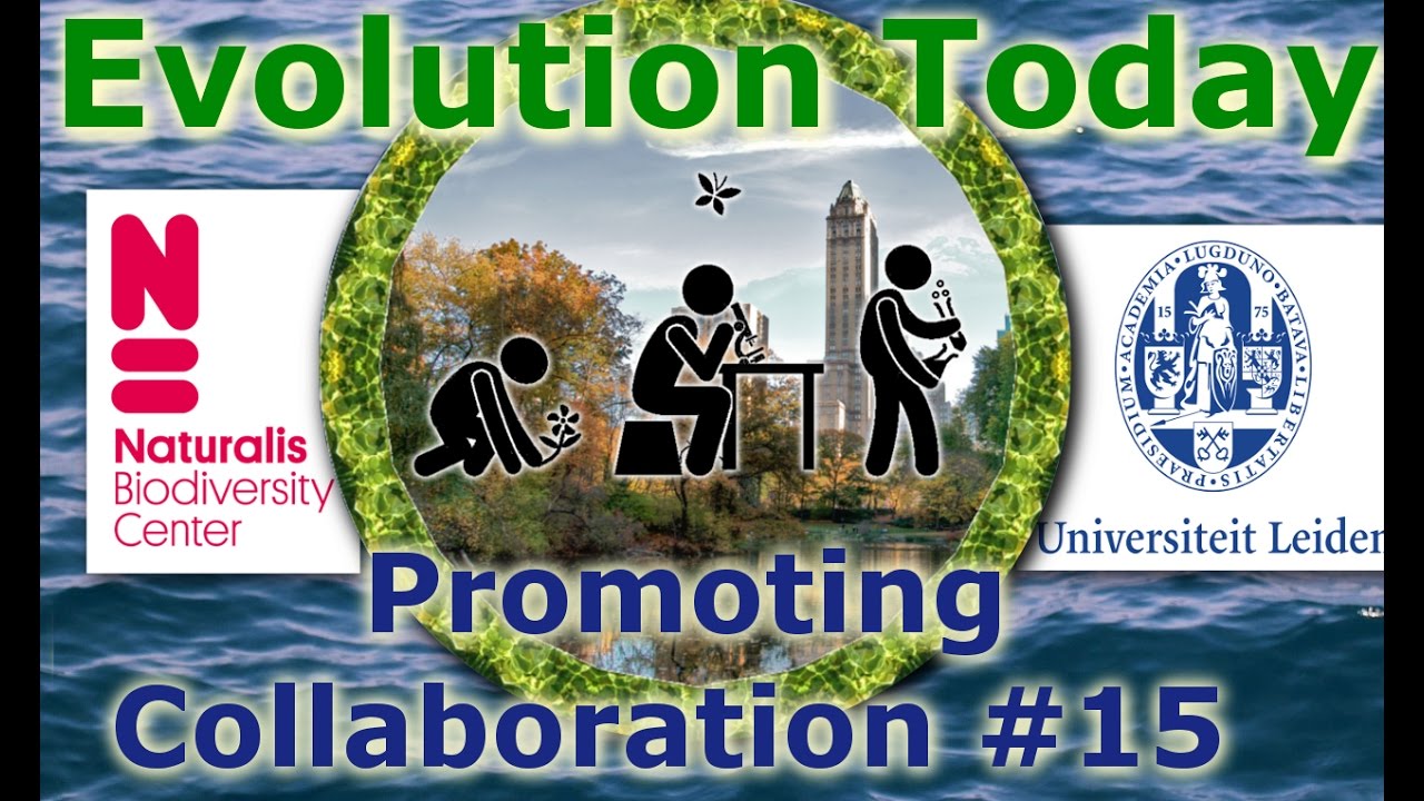 Evolution Today - 15. Promoting Collaboration - YouTube