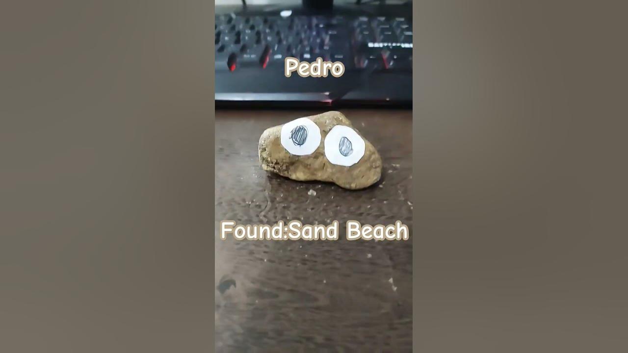 Meet my pet rocks!!! - YouTube