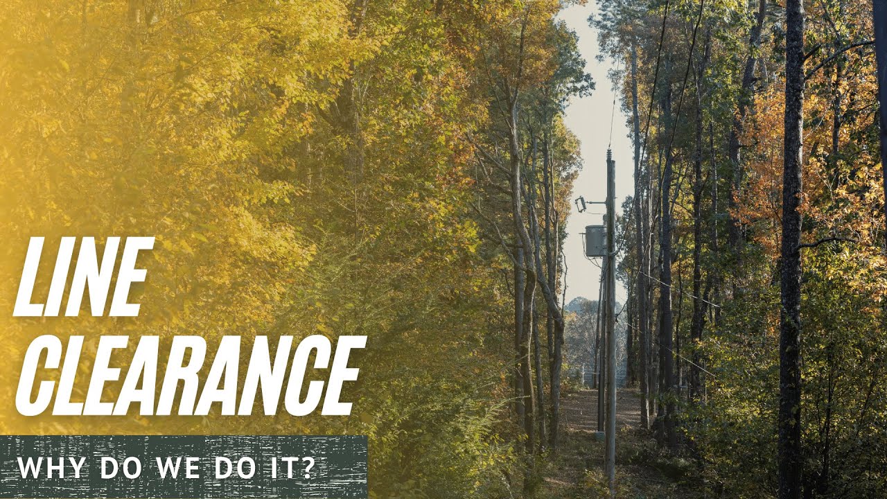 Line Clearance - YouTube