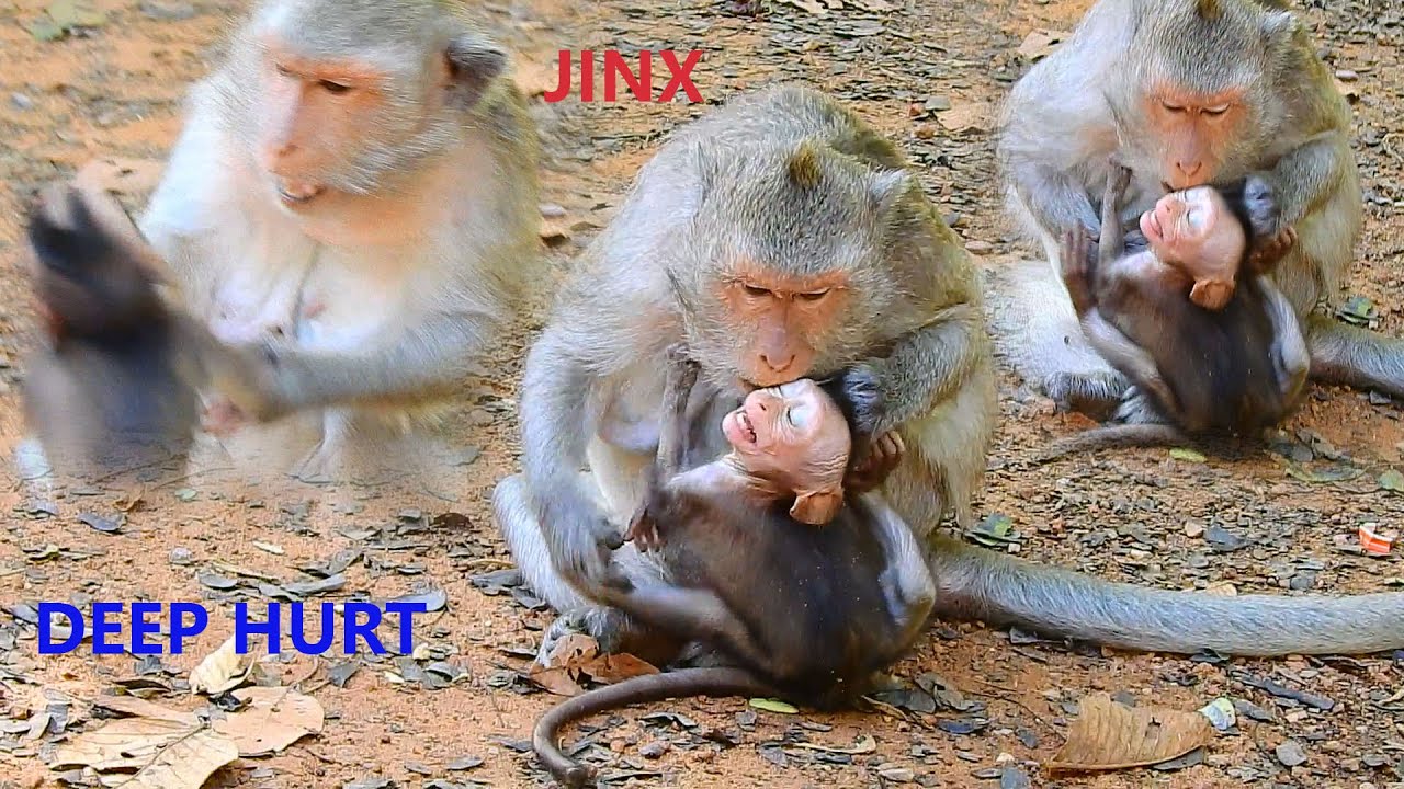 YOU WILL PITY BABY JINX DEEPLY HURT ..JINX MILLIONS PAINFUL GET MOM ...
