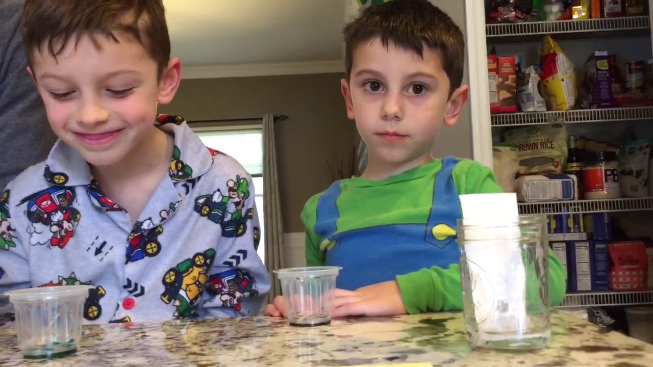 Relationships and biodiversity state lab: Chromatography set up - YouTube