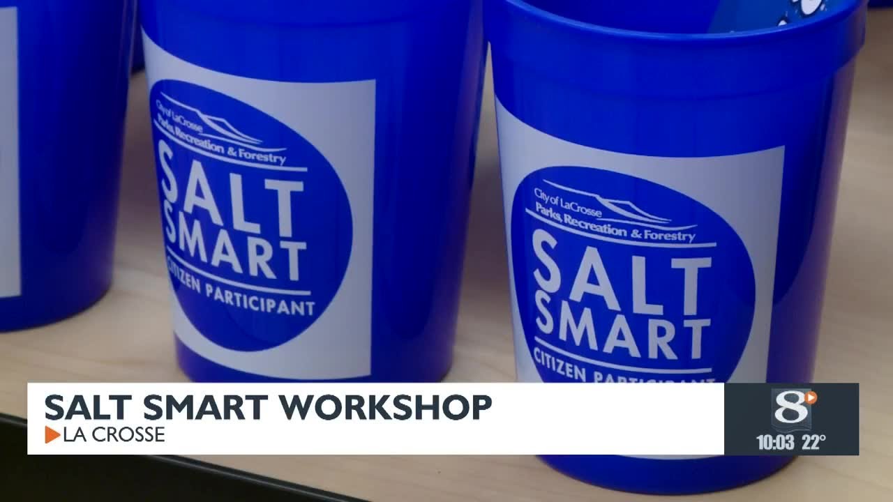 Salt Smart Workshop - YouTube