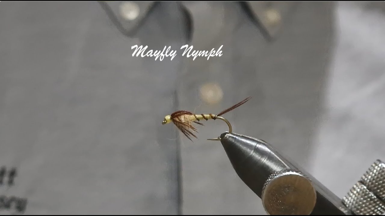 Mayfly Nymph - YouTube