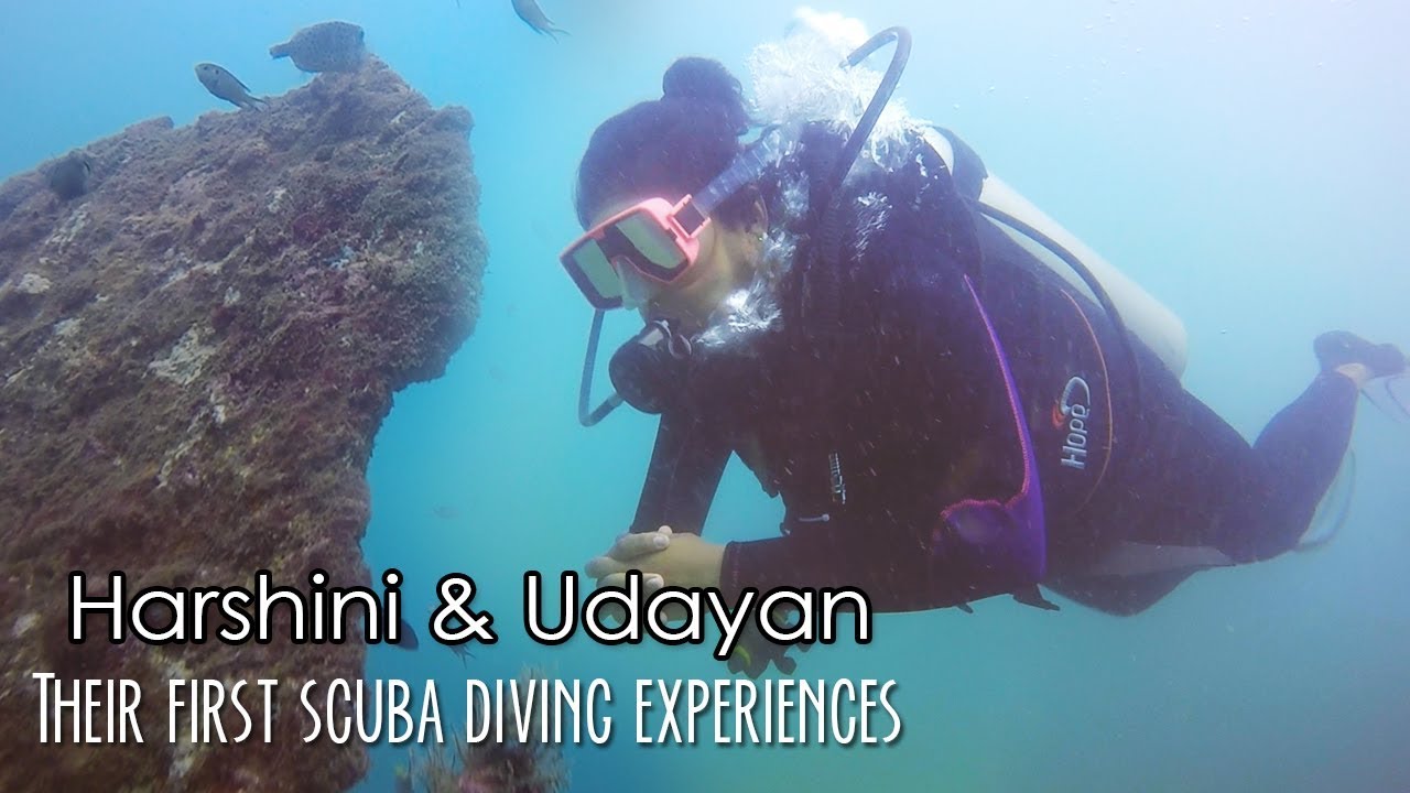 Udayan & Harshini | Diving Expriences | Goa,India *Diving Panda* - YouTube