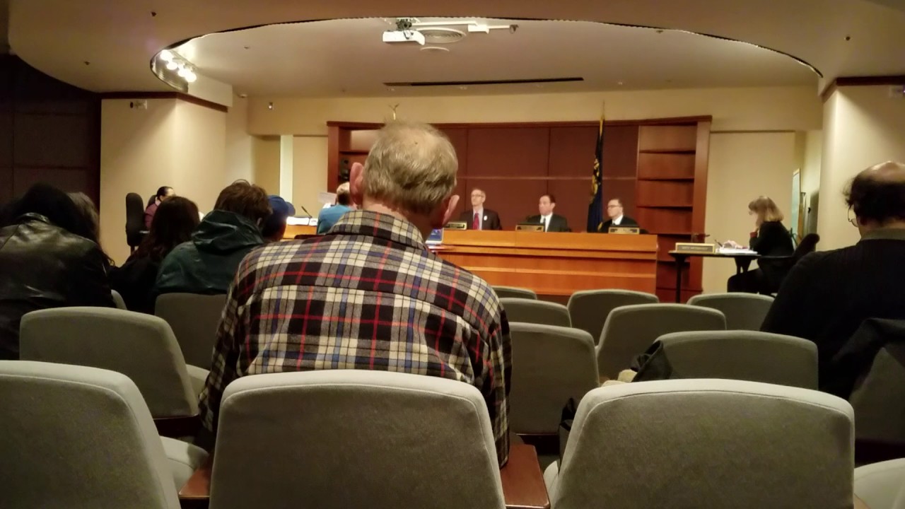 Sara Hobson testify at city council meeting, - YouTube