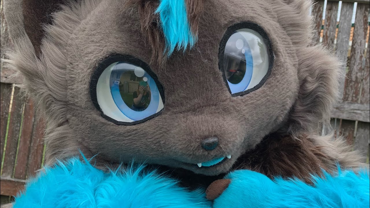 Loki the Kemono Fox - YouTube