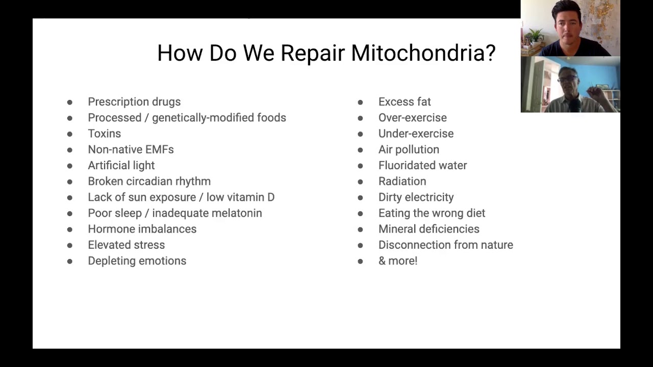 How Do We Repair Mitochondria? - YouTube