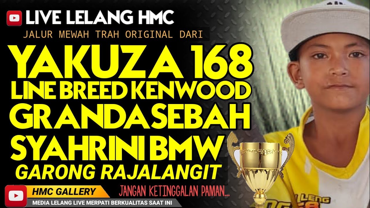 LIVE LELANG TEAM LENG 168//MERPATI KOLONG//MERPATI LOVERS//MERPATI ...