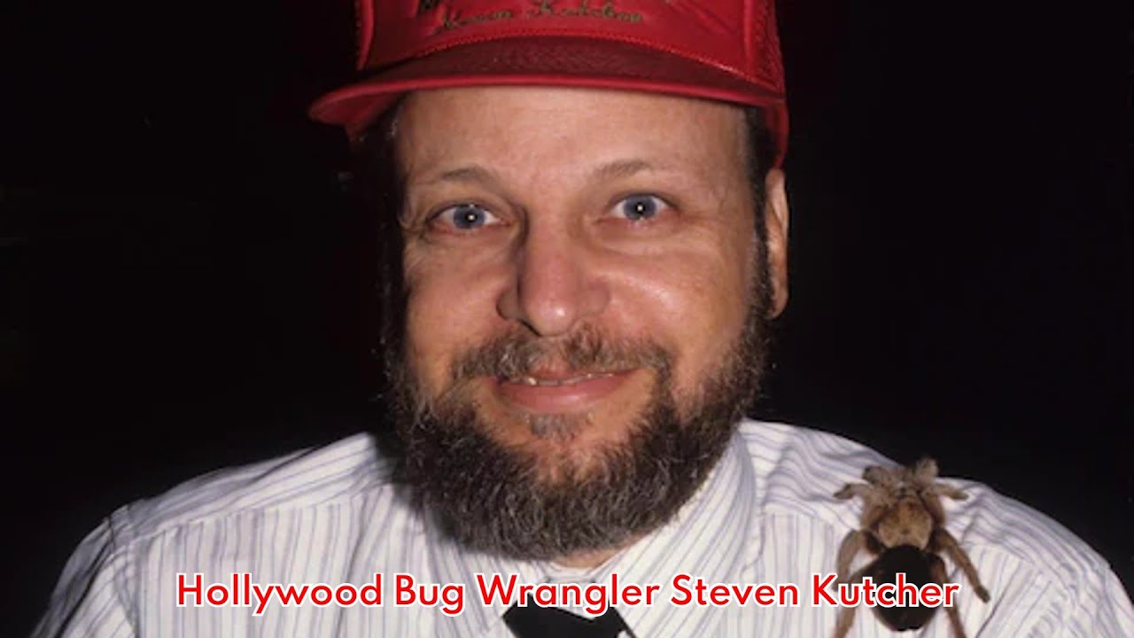 Hollywood Bug Wrangler Steven Kutcher - YouTube