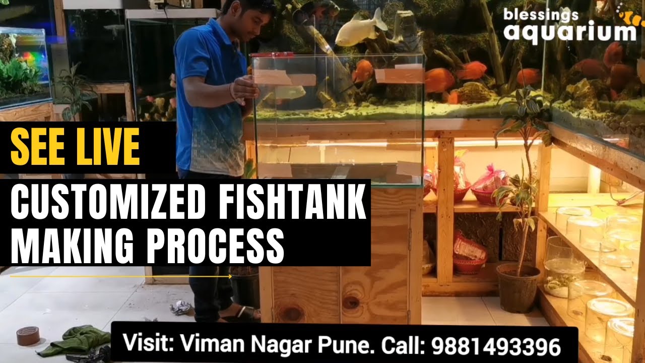 Making customized fish tank with wooden cabinet | Best place to buy ...