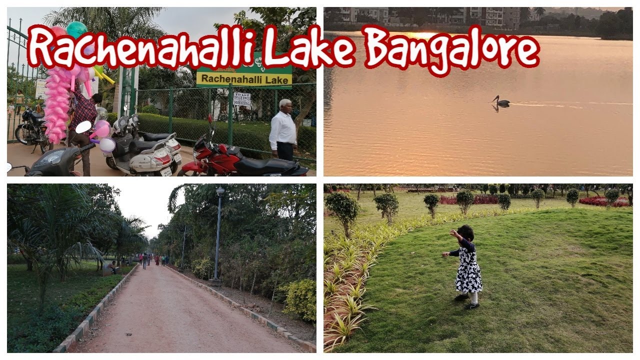 A Visit to Rachenahalli Lake | Restored Lakes of Bangalore - YouTube