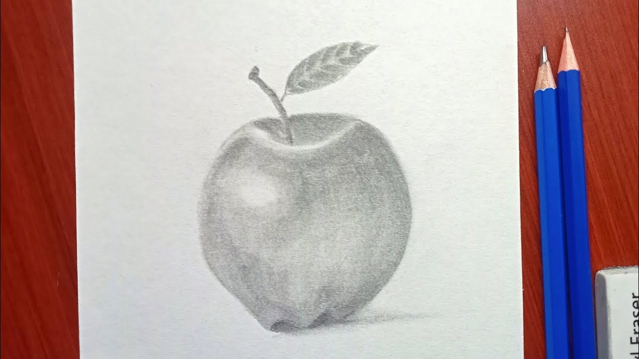Cara menggambar apel how to draw an apple step by step - YouTube