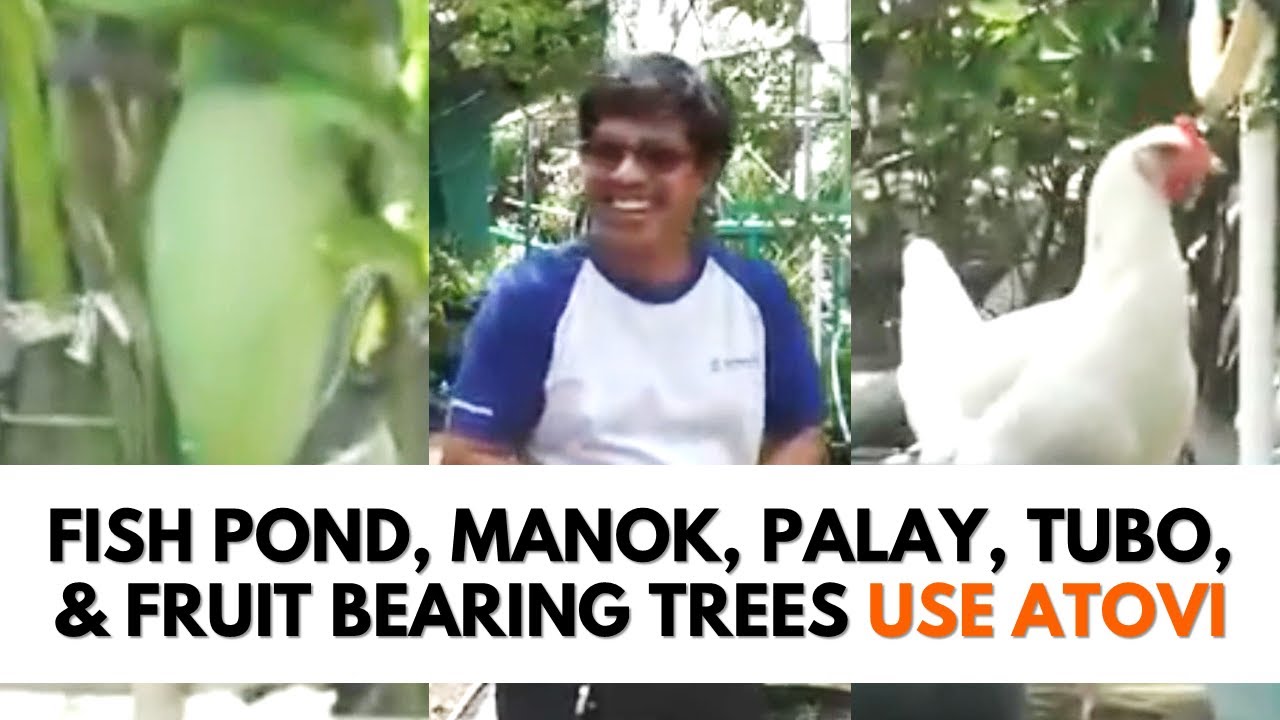 Fish pond, Manok, Palay, Tubo, and Fruit bearing Trees using Atovi ...