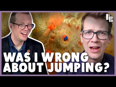 Nerdfighteria Wiki - Why Are These Fish Walking?