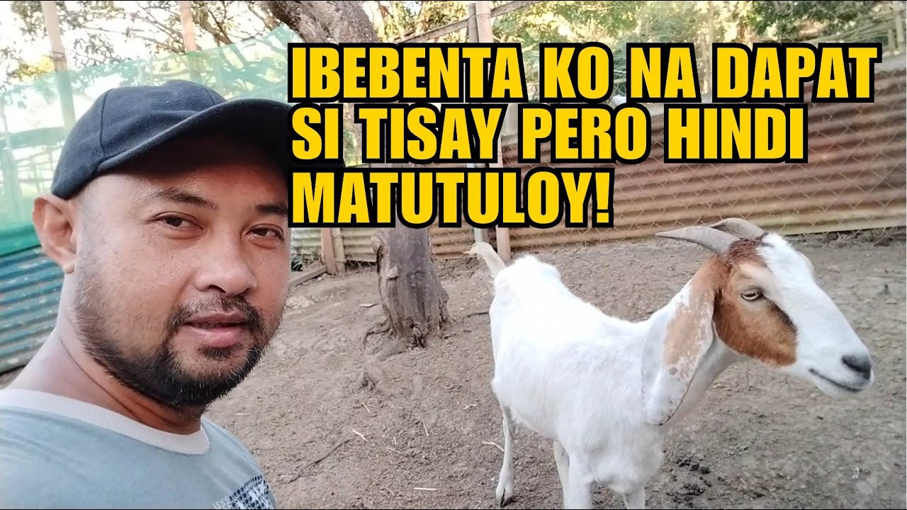 IBEBENTA KO NA DAPAT SI TISAY PERO HINDI MATUTULOY! - YouTube