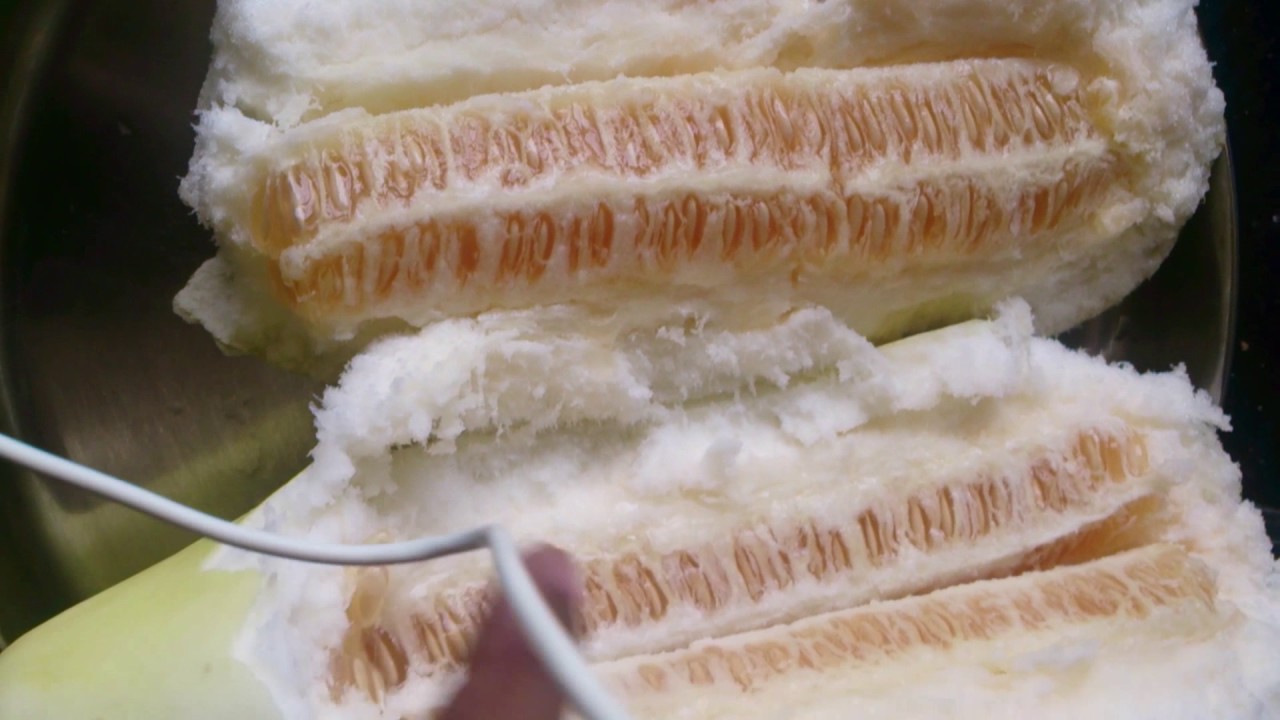 An exploding fruit - Tropical blonde cucumber - Original Footage - YouTube