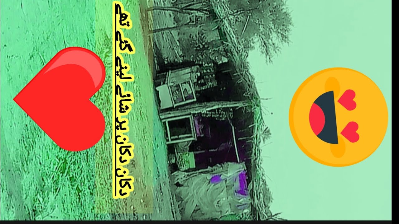 Rafique shah vlog - YouTube