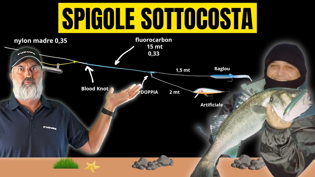 SPIGOLA: Tutorial sulla Traina con gli Artificiali & Esca Viva - YouTube